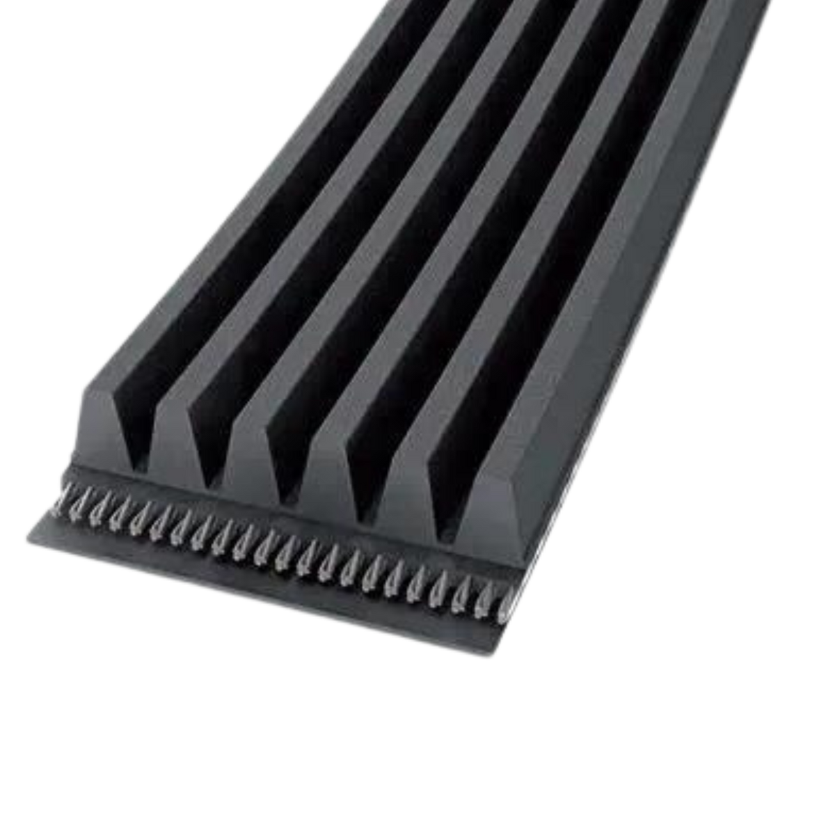 Ribbed Poly V Belts/ Multi Rib Belts — Belt Hub